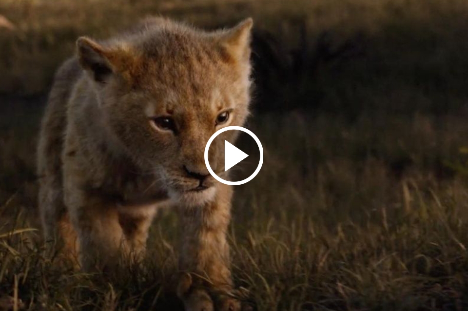 Mirá el trailer completo de "El Rey León"